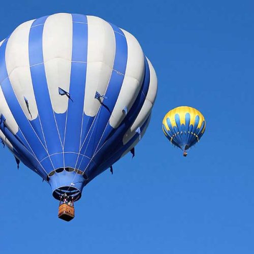 Telmo Creations - Descubra notícias, ideias e ferramentas essenciais para designers